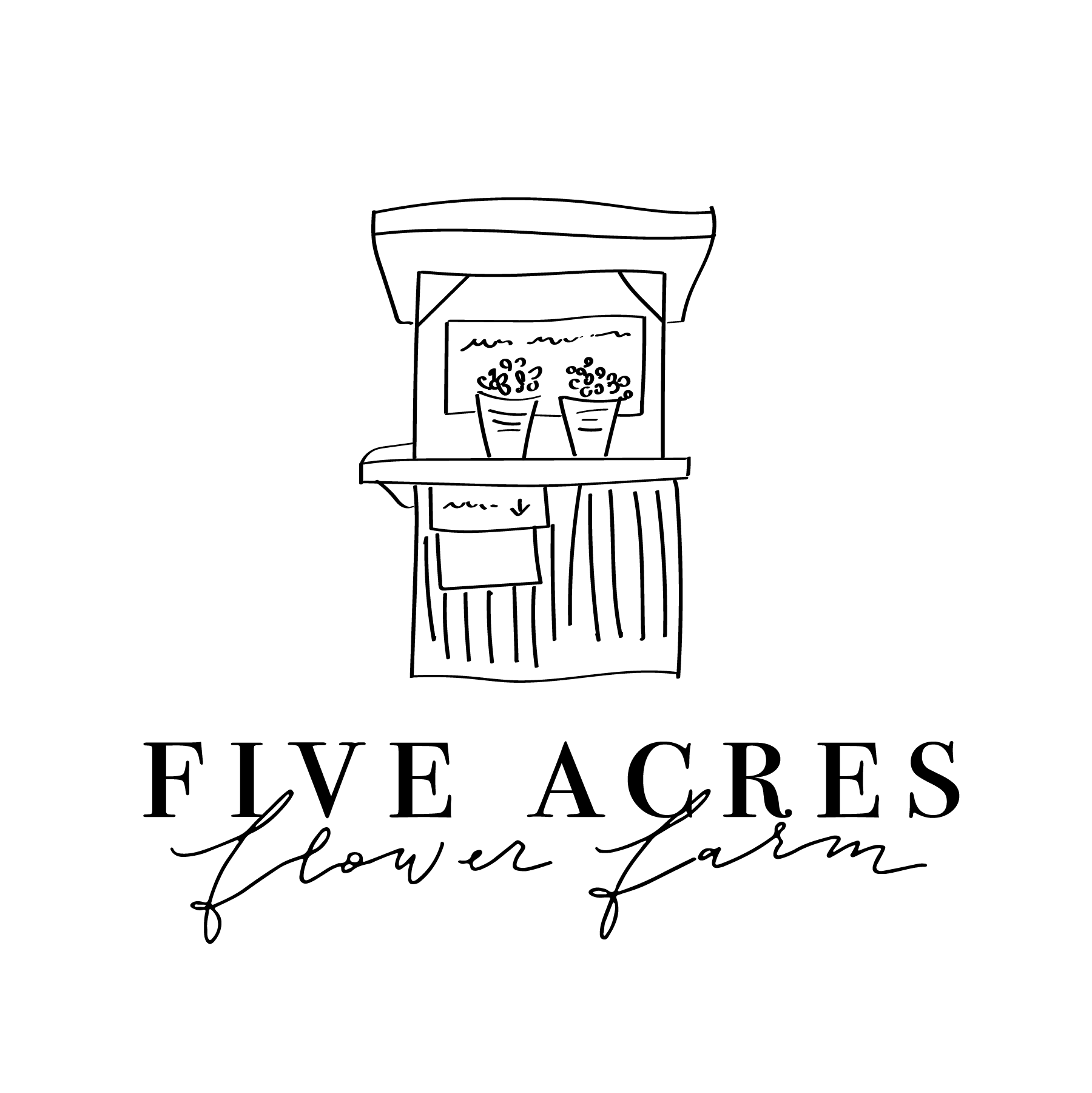 Dahlia Alpen Cherub | Five Acres Flower Farm