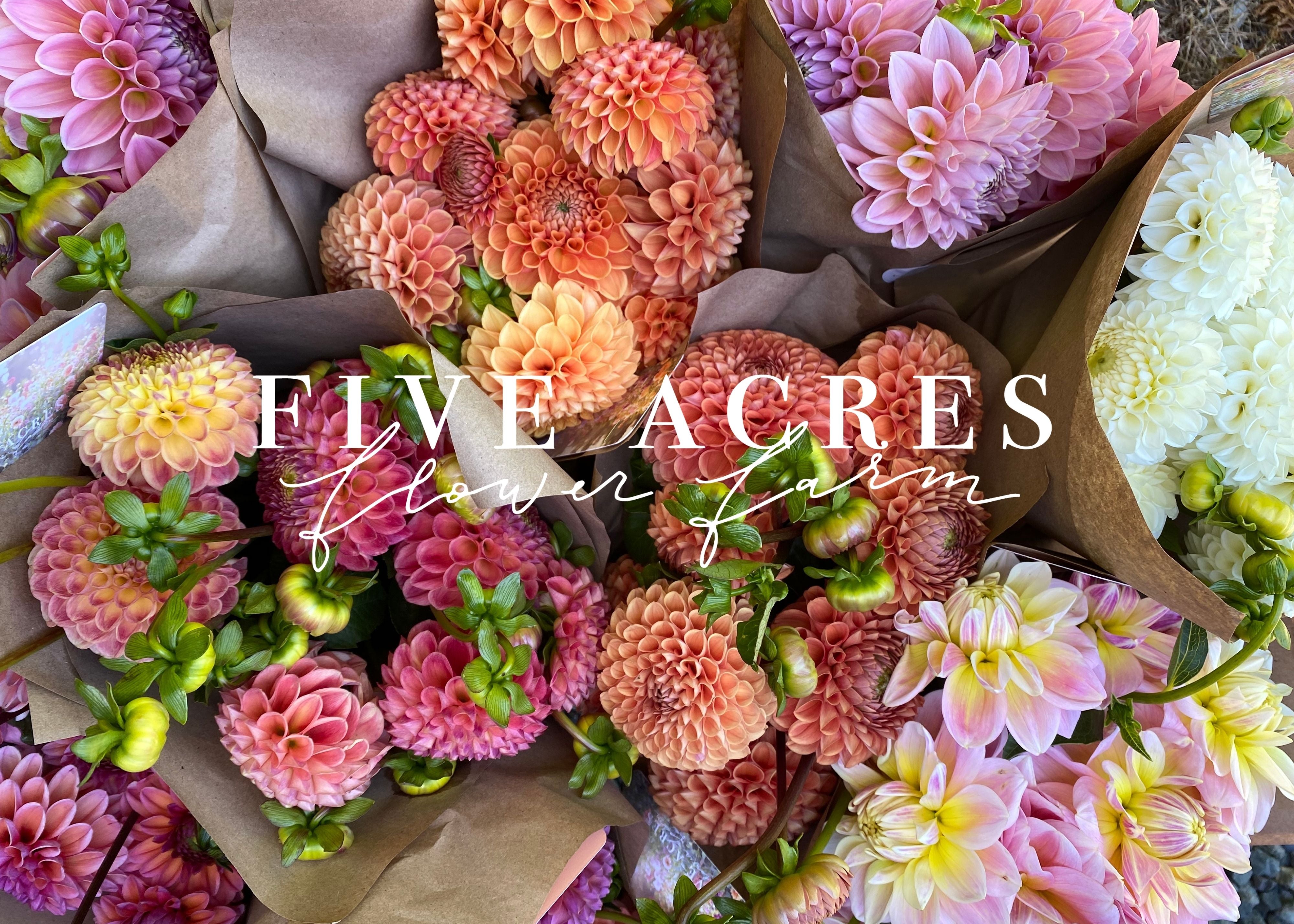 Five Acres Digital Gift Card – Five Acres Flower Farm